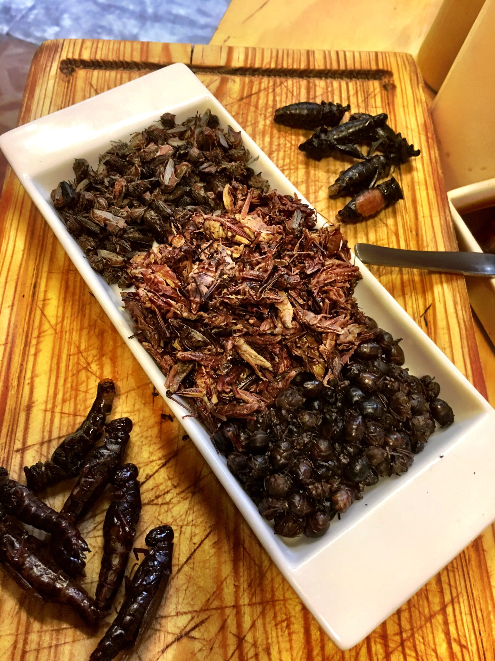 The Bizarre Foods of Mexico – The Traveling Wizard
