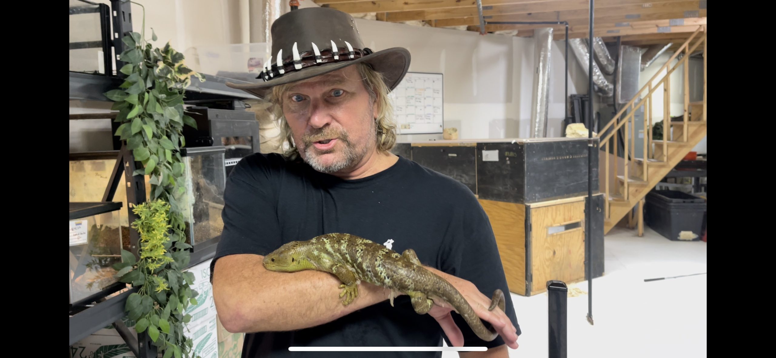 Sloths, Mermaids and Things That Slither. - The Traveling Wizard