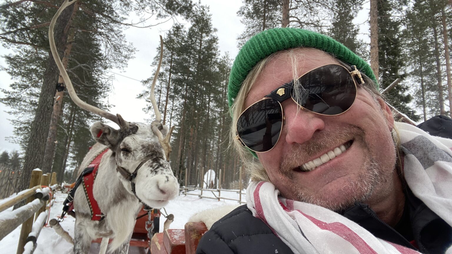 The Most Famous Reindeer of All - The Traveling Wizard